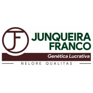 Junqueira Franco – Service Manager